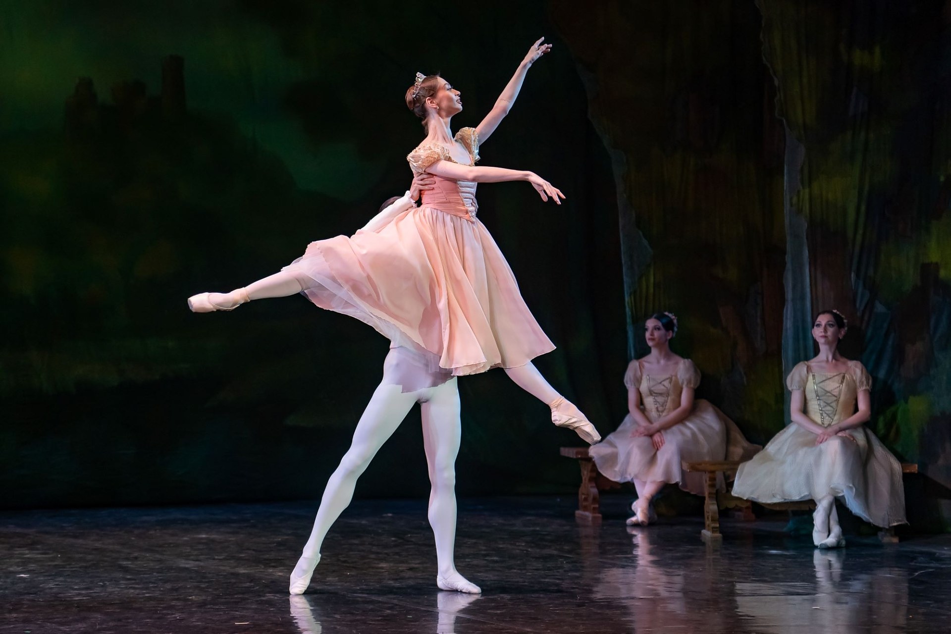 «Лебединое озеро»